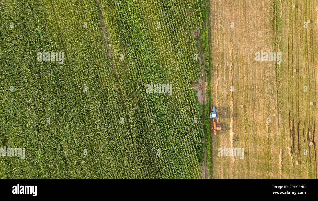 Farmer driving combine harvesting corn hi-res stock photography and ...