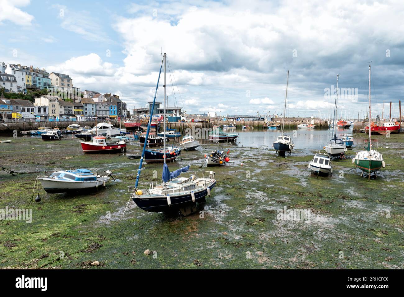 Brixham harbour during low tide Stock Photo - Alamy