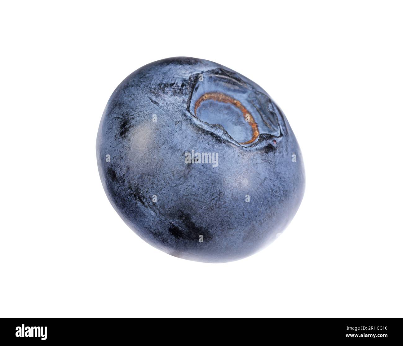 One fresh ripe blueberry isolated on white Stock Photo - Alamy