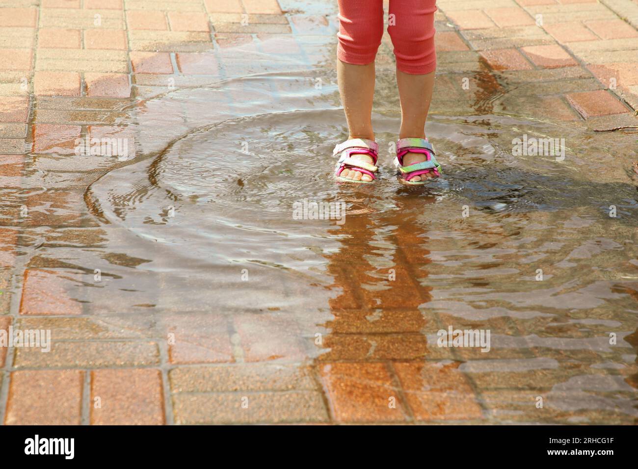 Little girl standing in puddle outdoors, closeup Stock Photo - Alamy