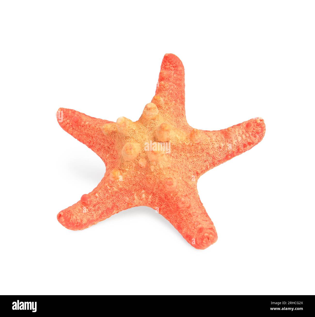 Beautiful sea star (starfish) isolated on white Stock Photo - Alamy