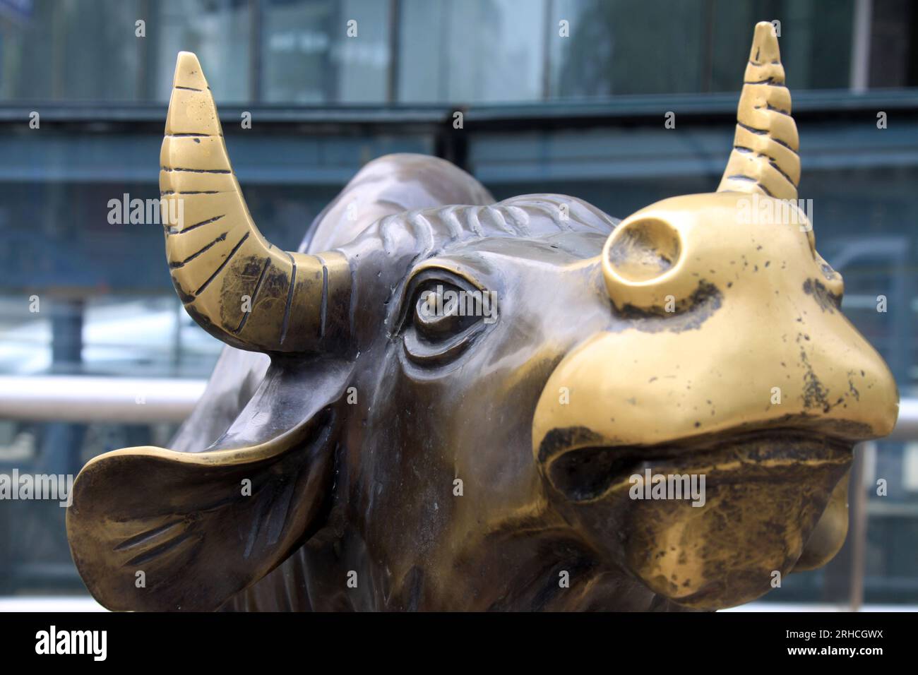 Copper bull head hi-res stock photography and images - Alamy