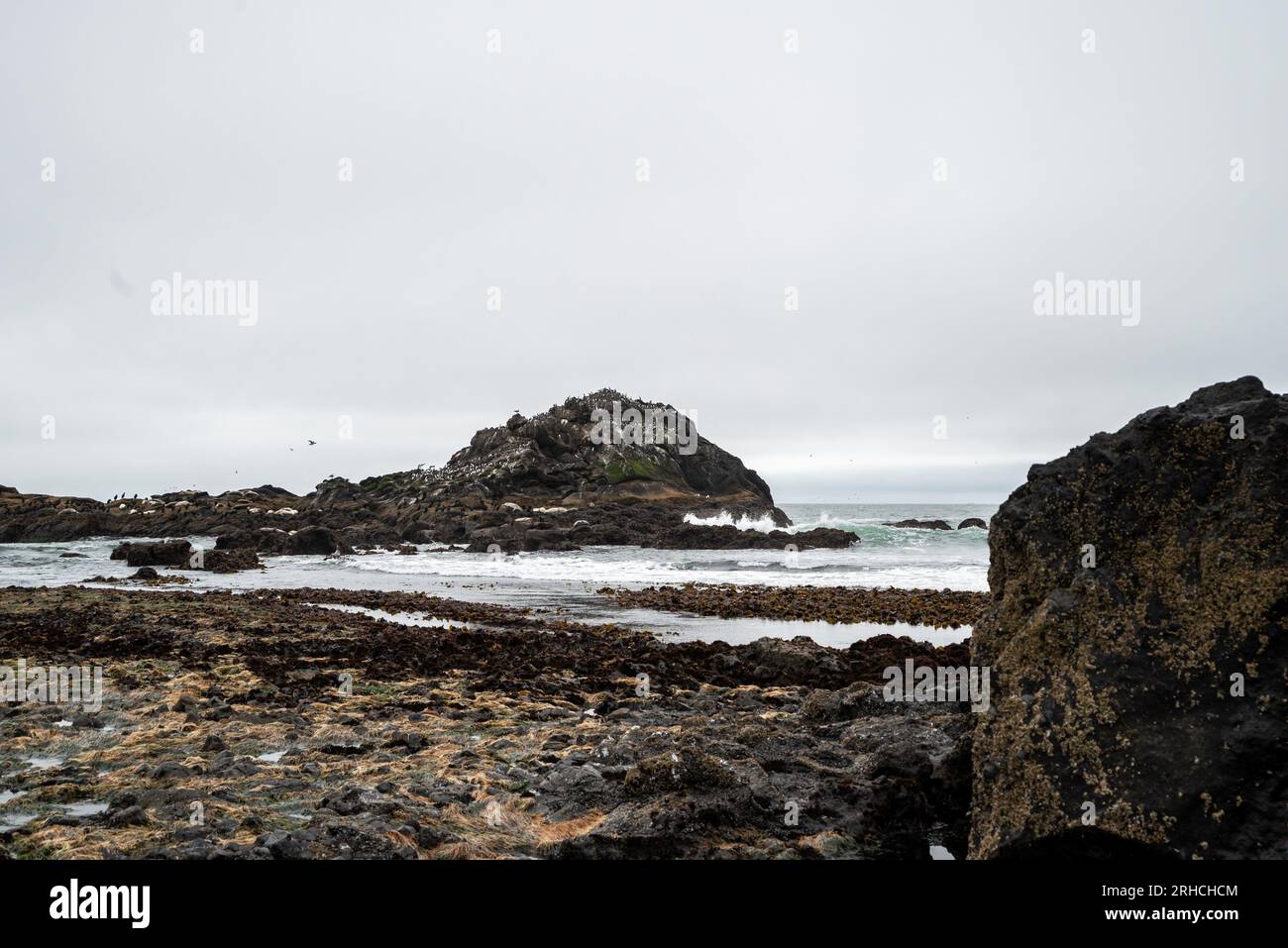 Yaquina Head Lighthouse Cobble Beach- Oregon 2022 Stock Photo - Alamy