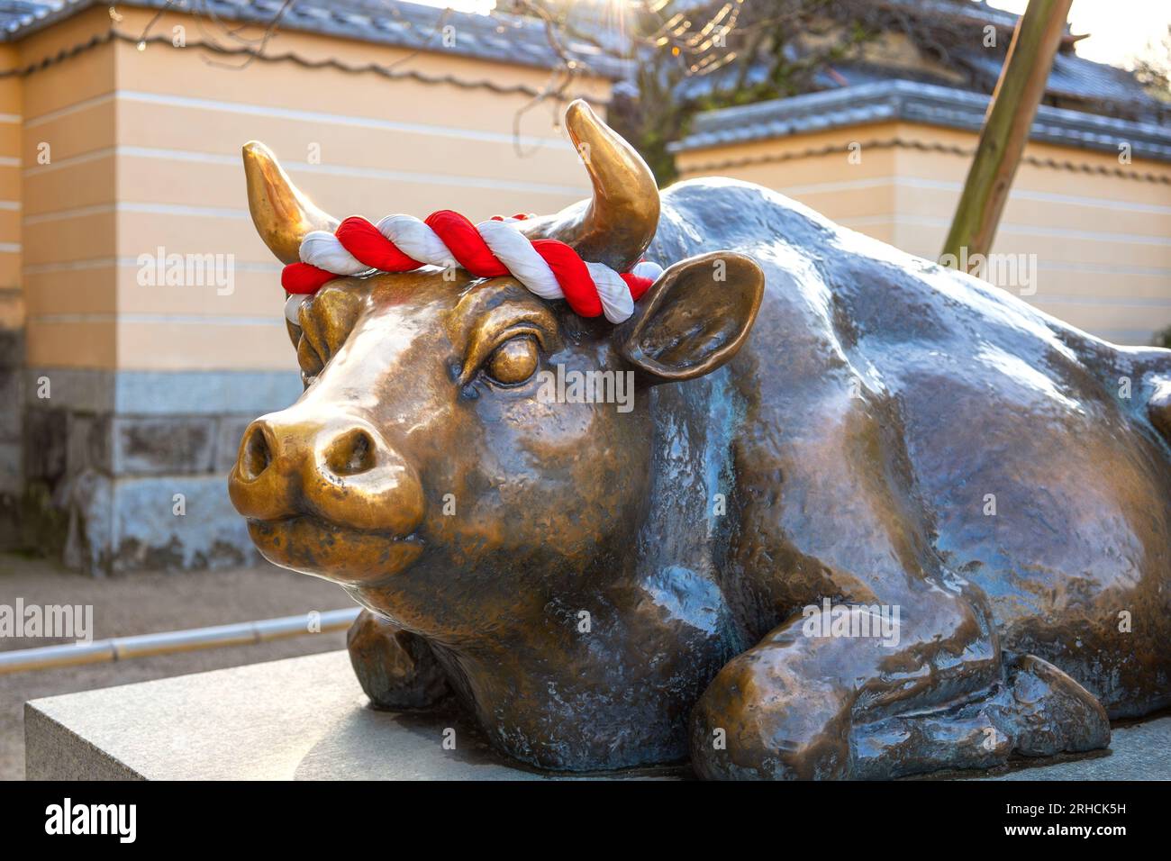 Fukuoka, Japan - Nov 30 2022: Dazaifu Tenmangu Goshingyu (Sacred Ox) is ...