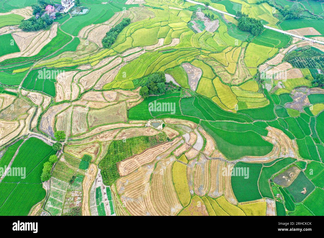 GUILIN, CHINA - AUGUST 15, 2023 - Photo taken on August 15, 2023 shows ...