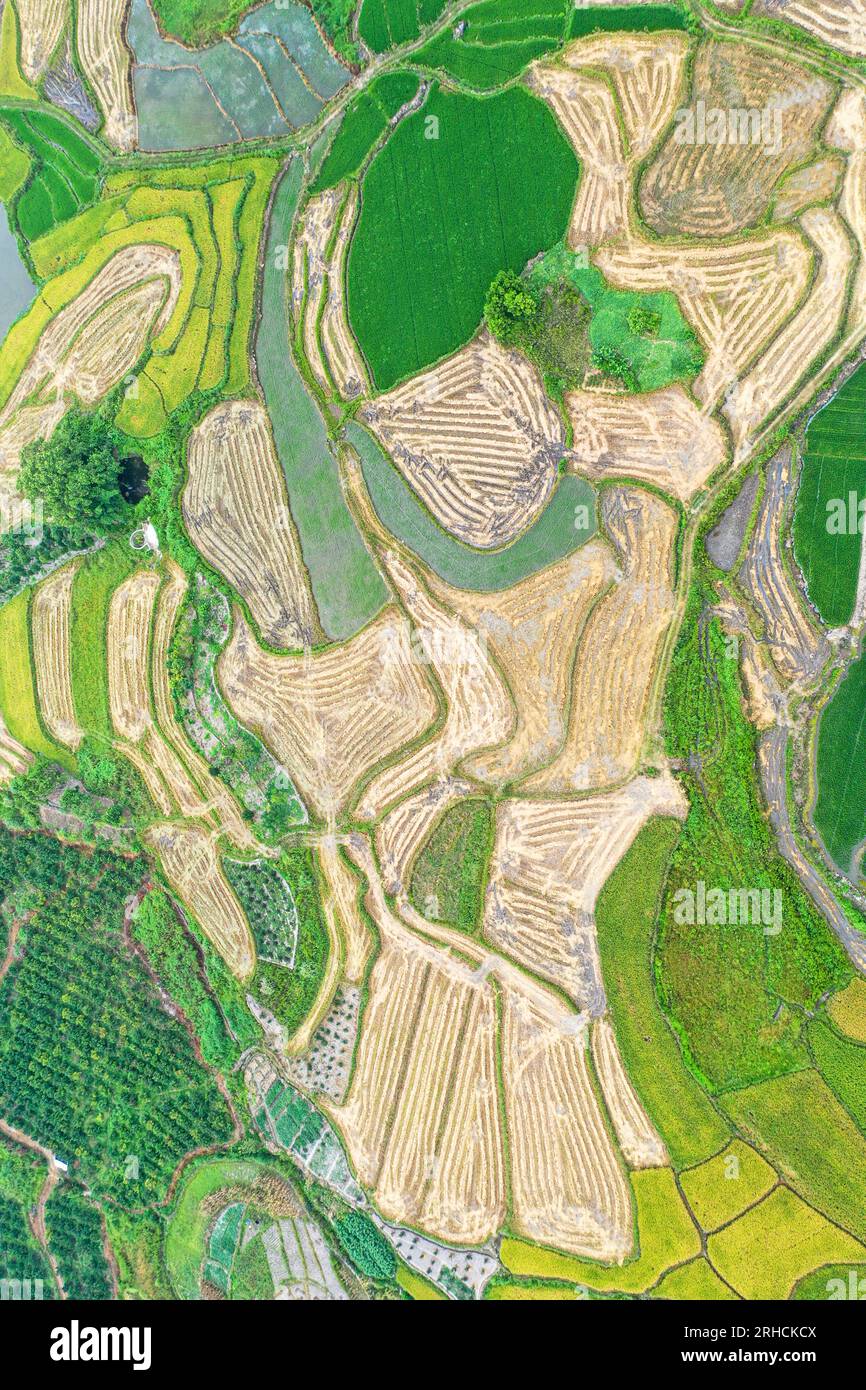 GUILIN, CHINA - AUGUST 15, 2023 - Photo taken on August 15, 2023 shows ...