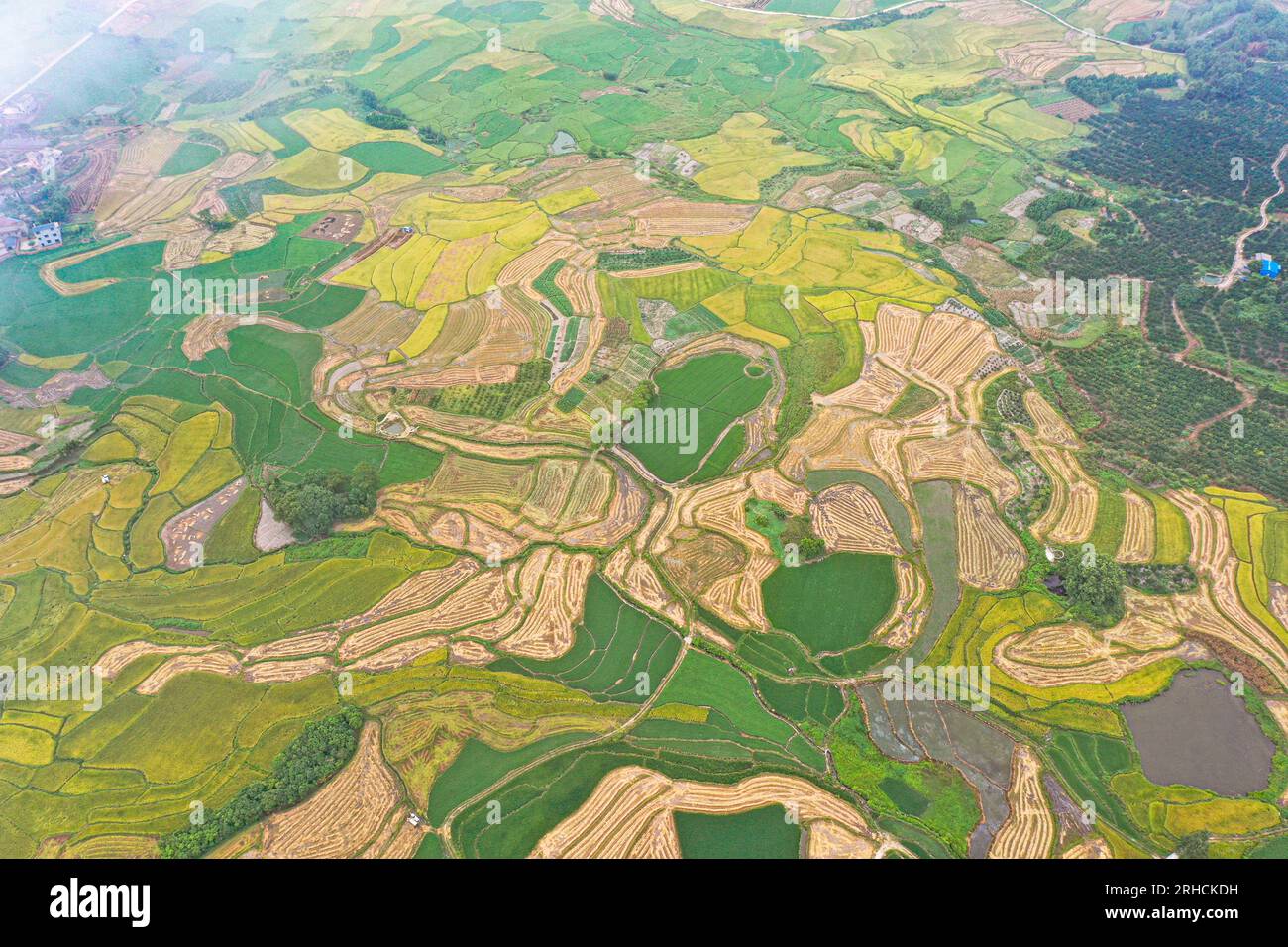 GUILIN, CHINA - AUGUST 15, 2023 - Photo taken on August 15, 2023 shows ...