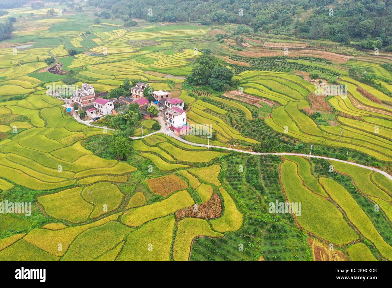 GUILIN, CHINA - AUGUST 15, 2023 - Photo taken on August 15, 2023 shows ...