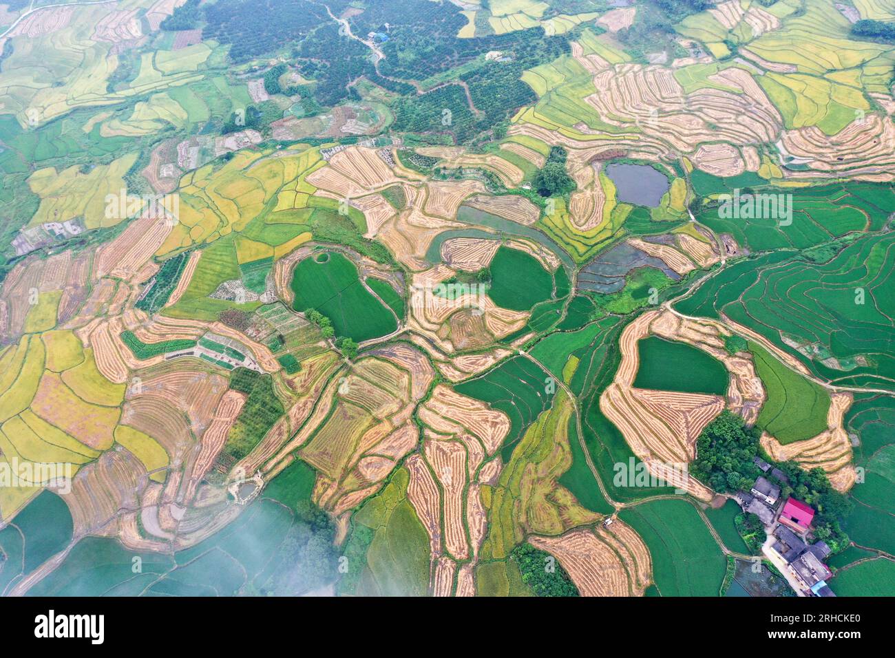 GUILIN, CHINA - AUGUST 15, 2023 - Photo taken on August 15, 2023 shows ...