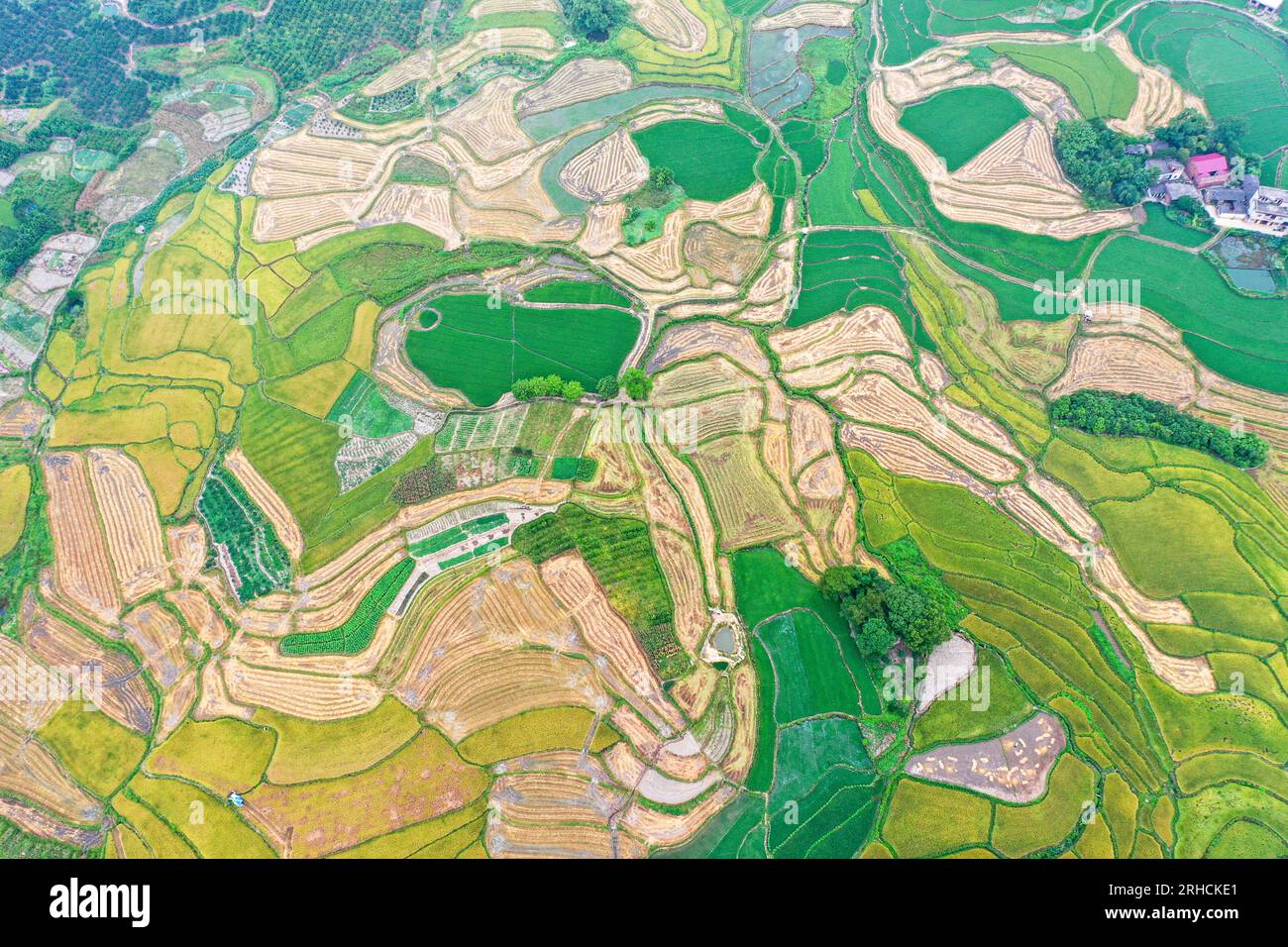 GUILIN, CHINA - AUGUST 15, 2023 - Photo taken on August 15, 2023 shows ...