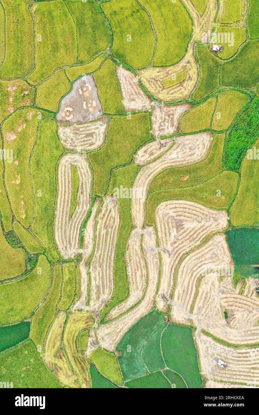 GUILIN, CHINA - AUGUST 15, 2023 - Photo taken on August 15, 2023 shows ...