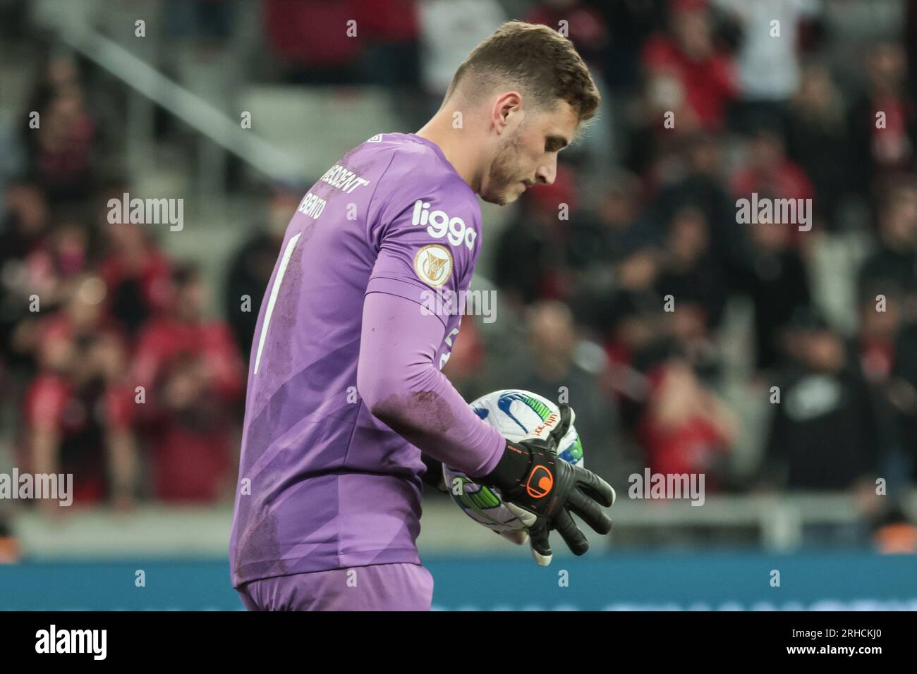 Curitiba, Brazil. 15th Aug, 2023. PR - CURITIBA - 08/15/2023 ...