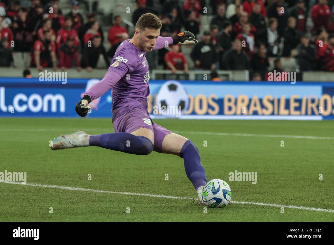 Curitiba, Brazil. 15th Aug, 2023. PR - CURITIBA - 08/15/2023 ...