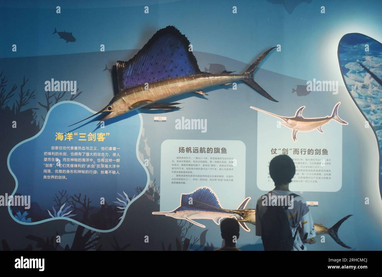 HANGZHOU, CHINA - AUGUST 16, 2023 - Visitors view specimens of ...