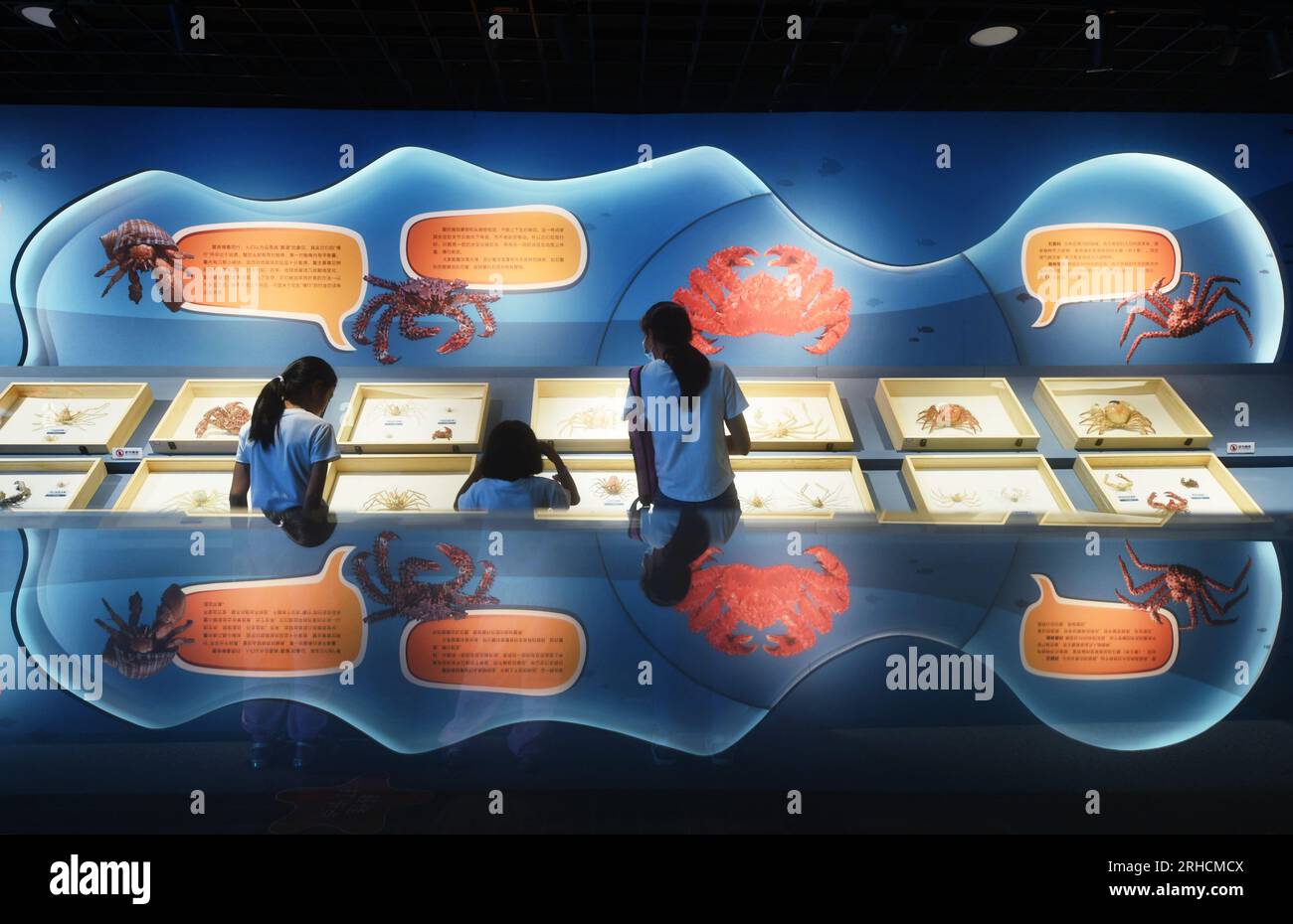 HANGZHOU, CHINA - AUGUST 16, 2023 - Visitors and parents view specimens ...