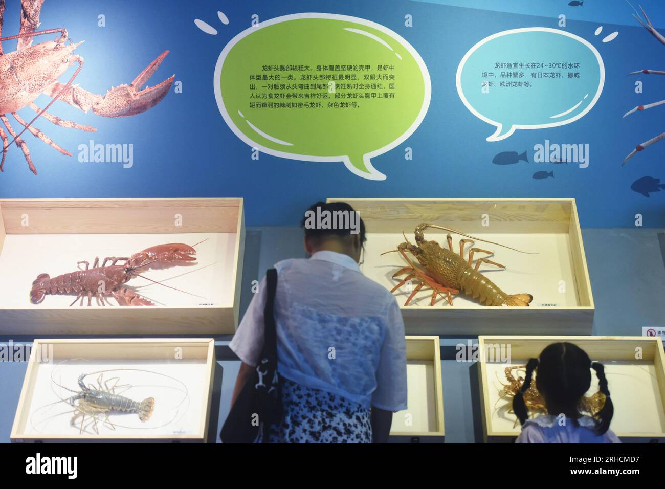 HANGZHOU, CHINA - AUGUST 16, 2023 - Visitors and parents look at ...
