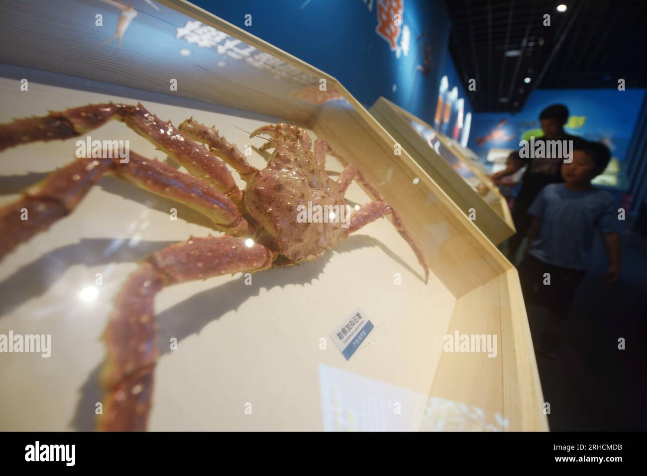 HANGZHOU, CHINA - AUGUST 16, 2023 - Visitors view a specimen of the ...