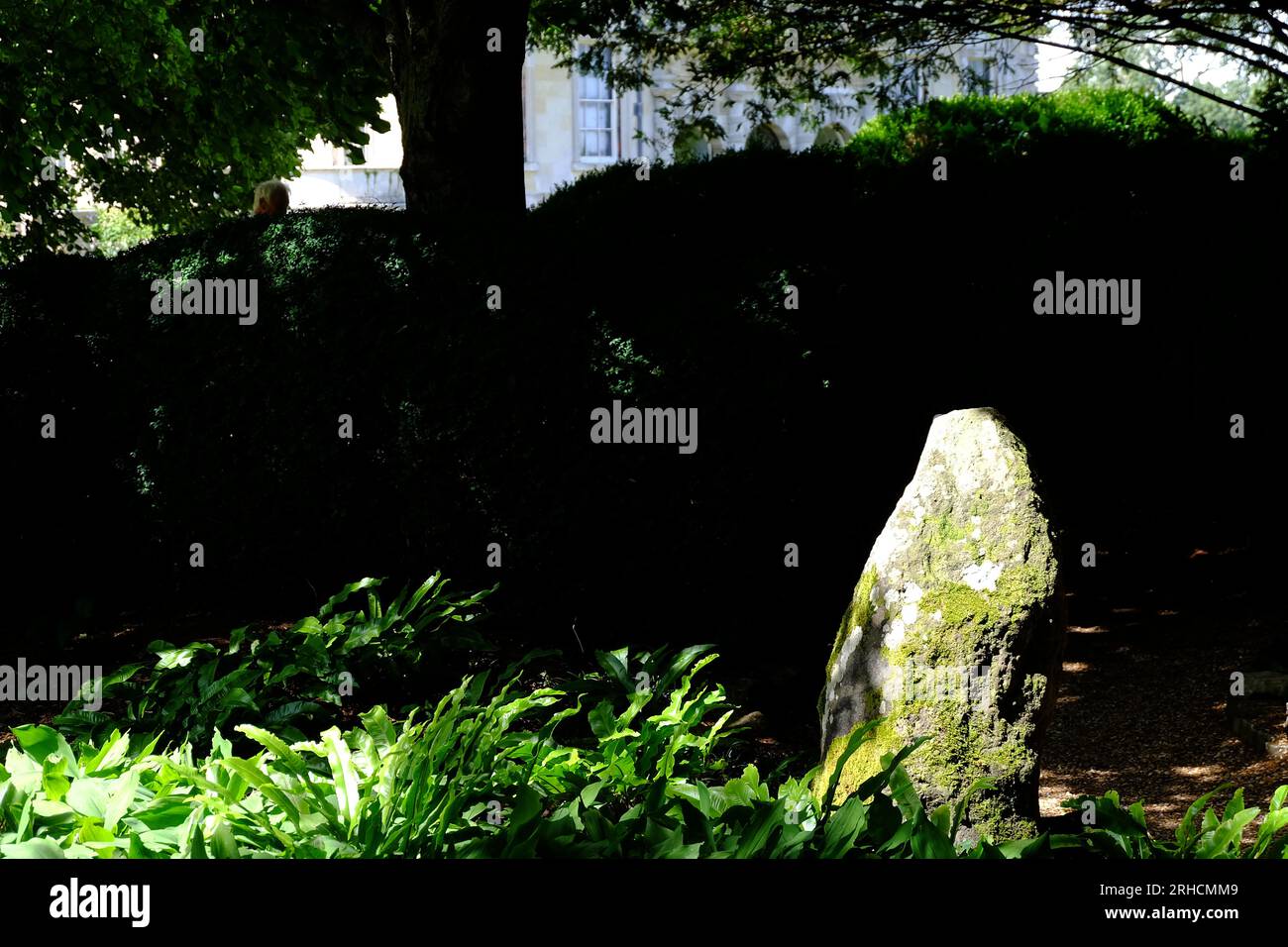 Stone with strong reflected light at Kingston Lacy Stock Photo - Alamy