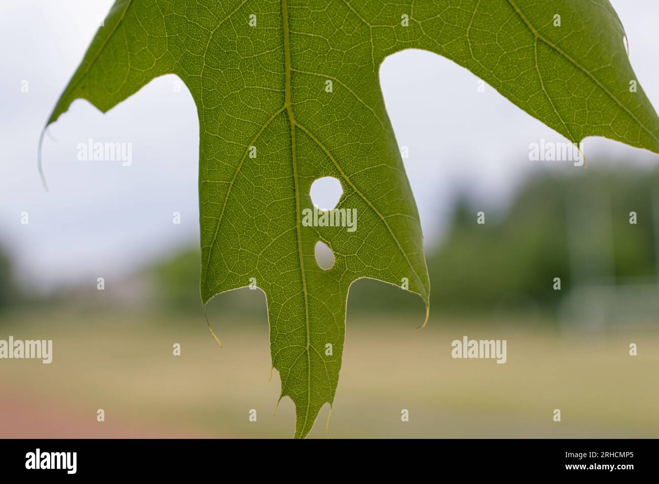 Jagged edges hi-res stock photography and images - Alamy