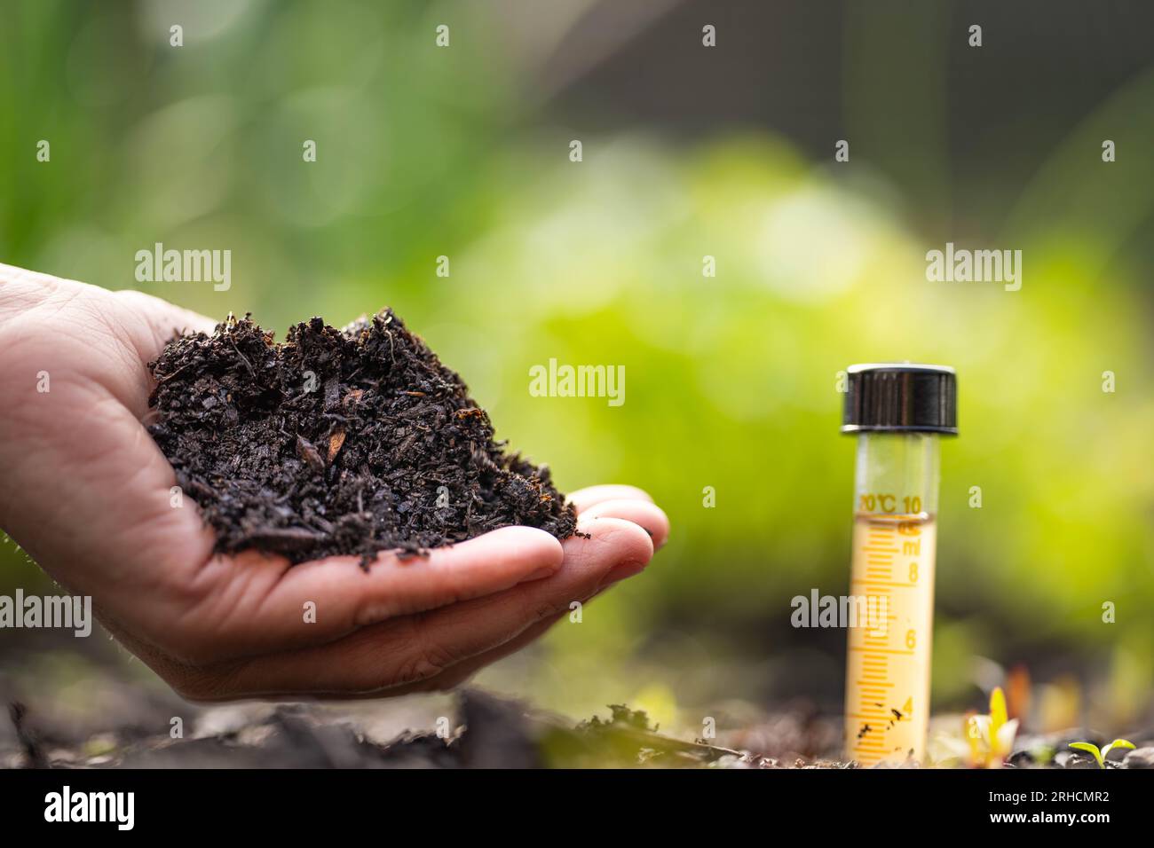 soil testing with a test tube in the soil close up the plants in the ...