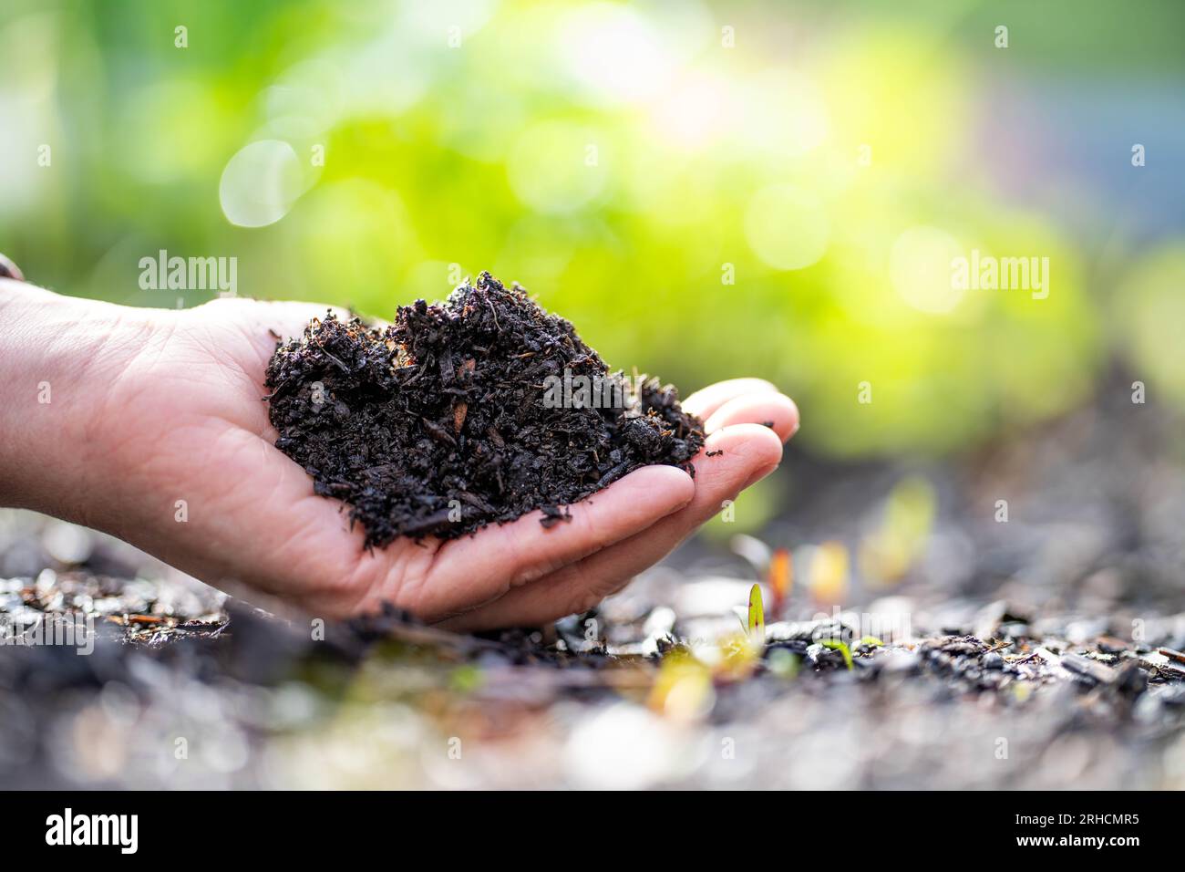 soil testing with a test tube in the soil close up the plants in the ...