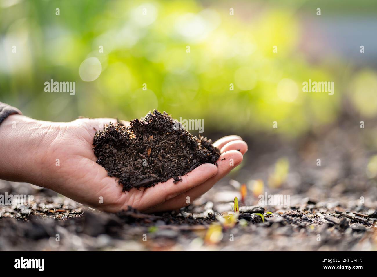 soil testing with a test tube in the soil close up the plants in the ...