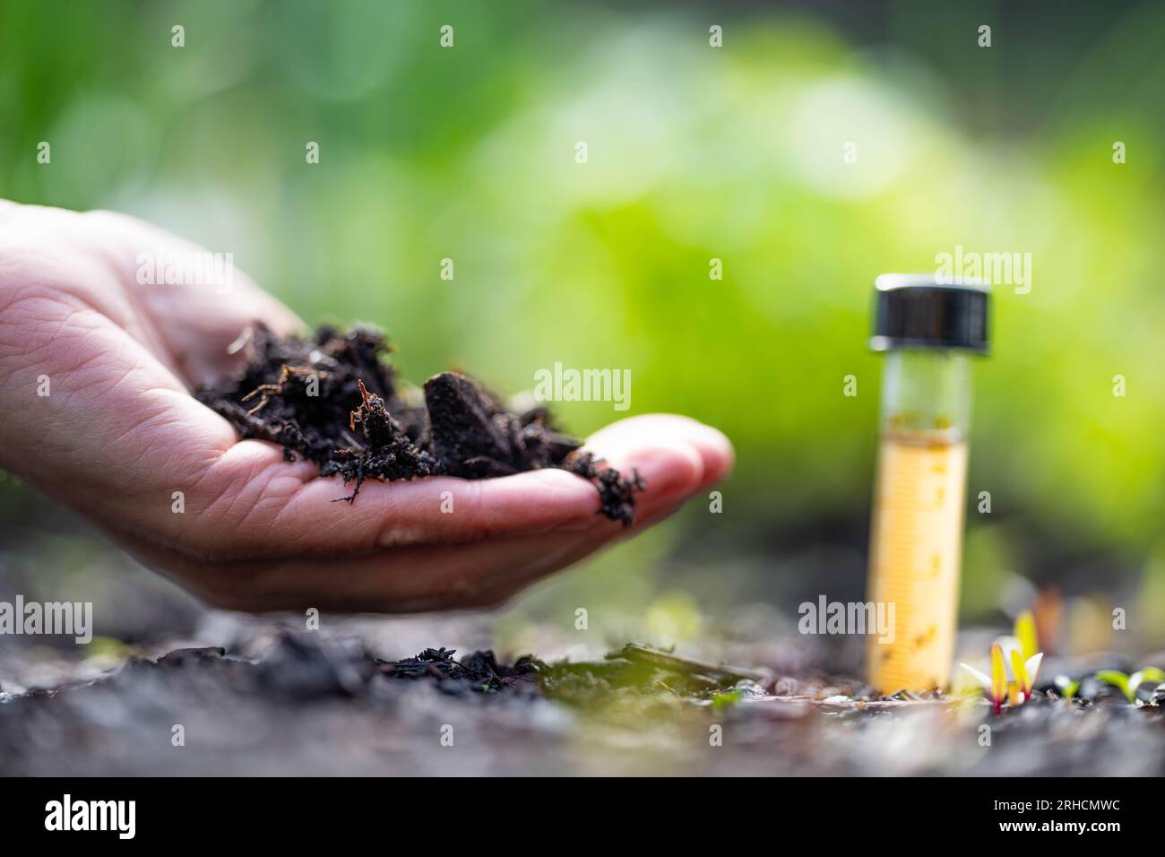 soil testing with a test tube in the soil close up the plants in the ...