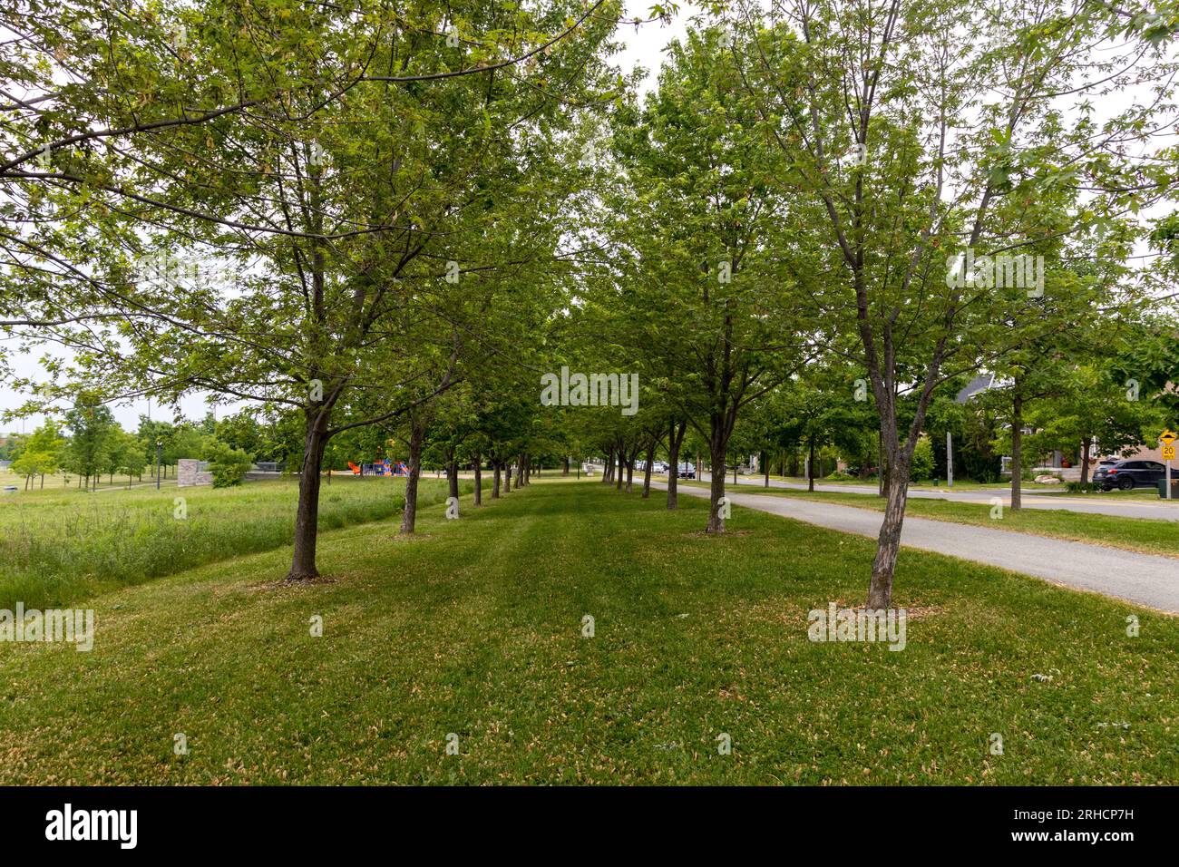 Park with trees and walking path - overcast sky - green grass and ...