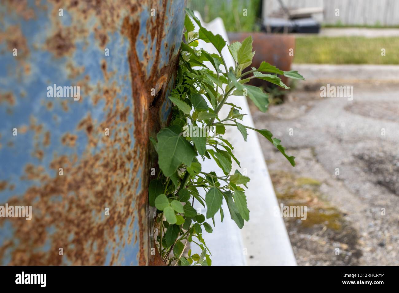 Decayed curb hi-res stock photography and images - Alamy