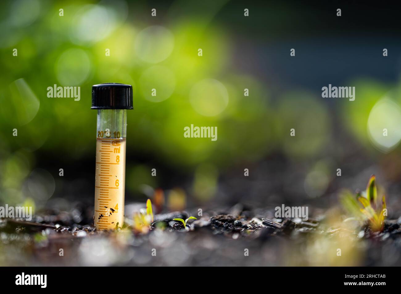 soil testing with a test tube in the soil close up the plants in the ...