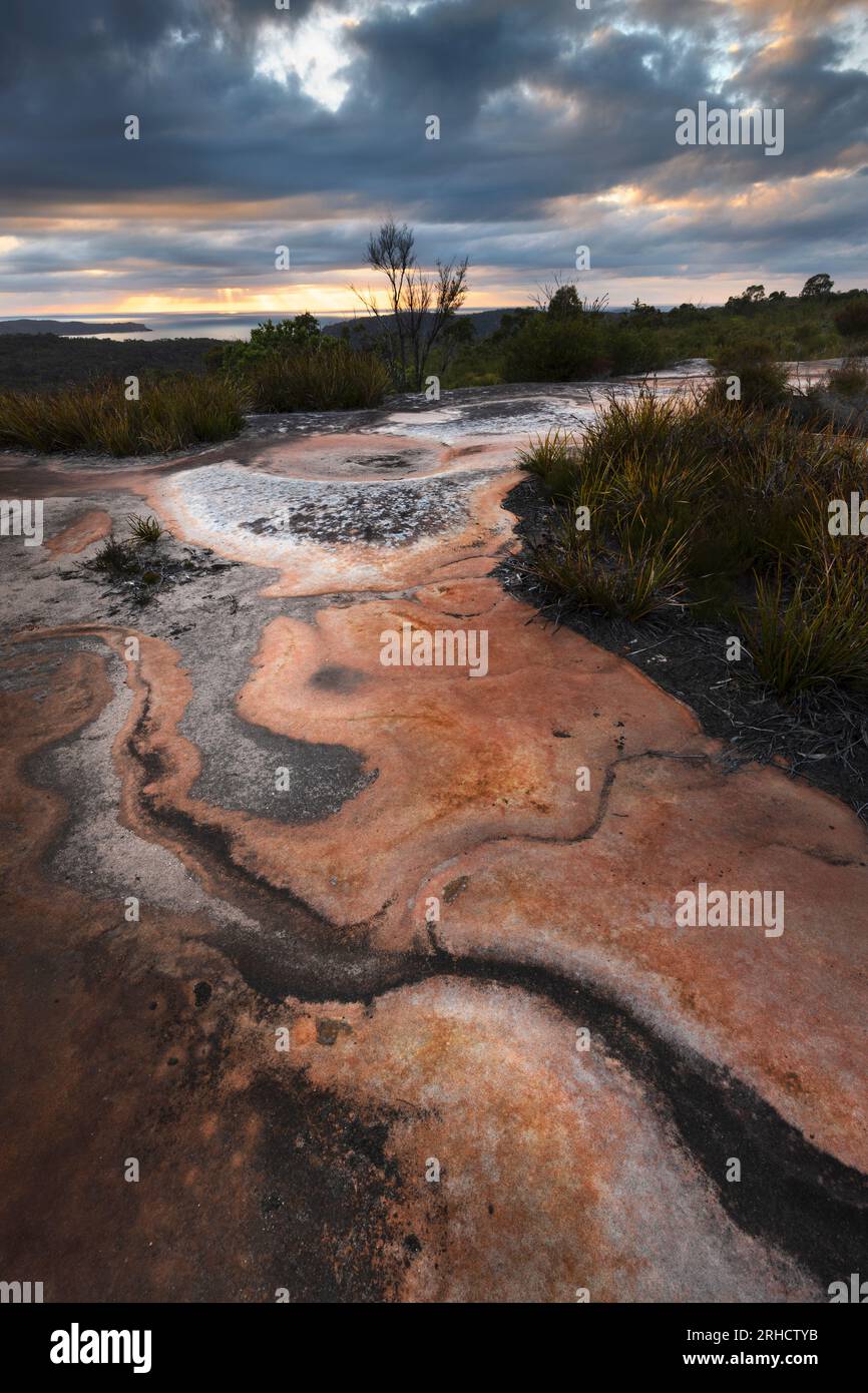 Brisbane water national park hi-res stock photography and images - Alamy
