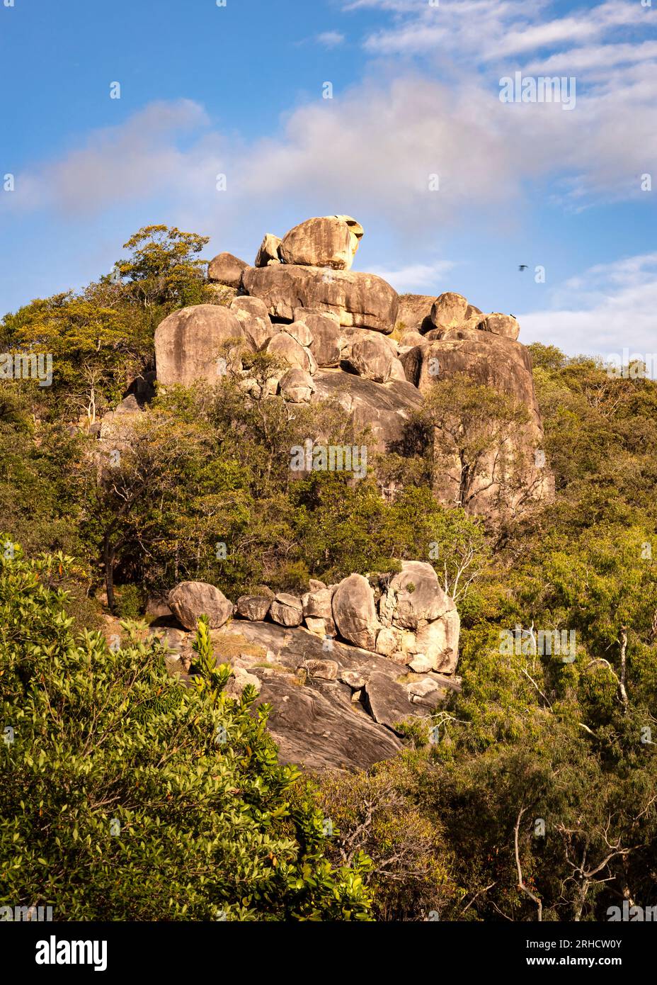rock mountain on magnetic island in queensland Stock Photo - Alamy