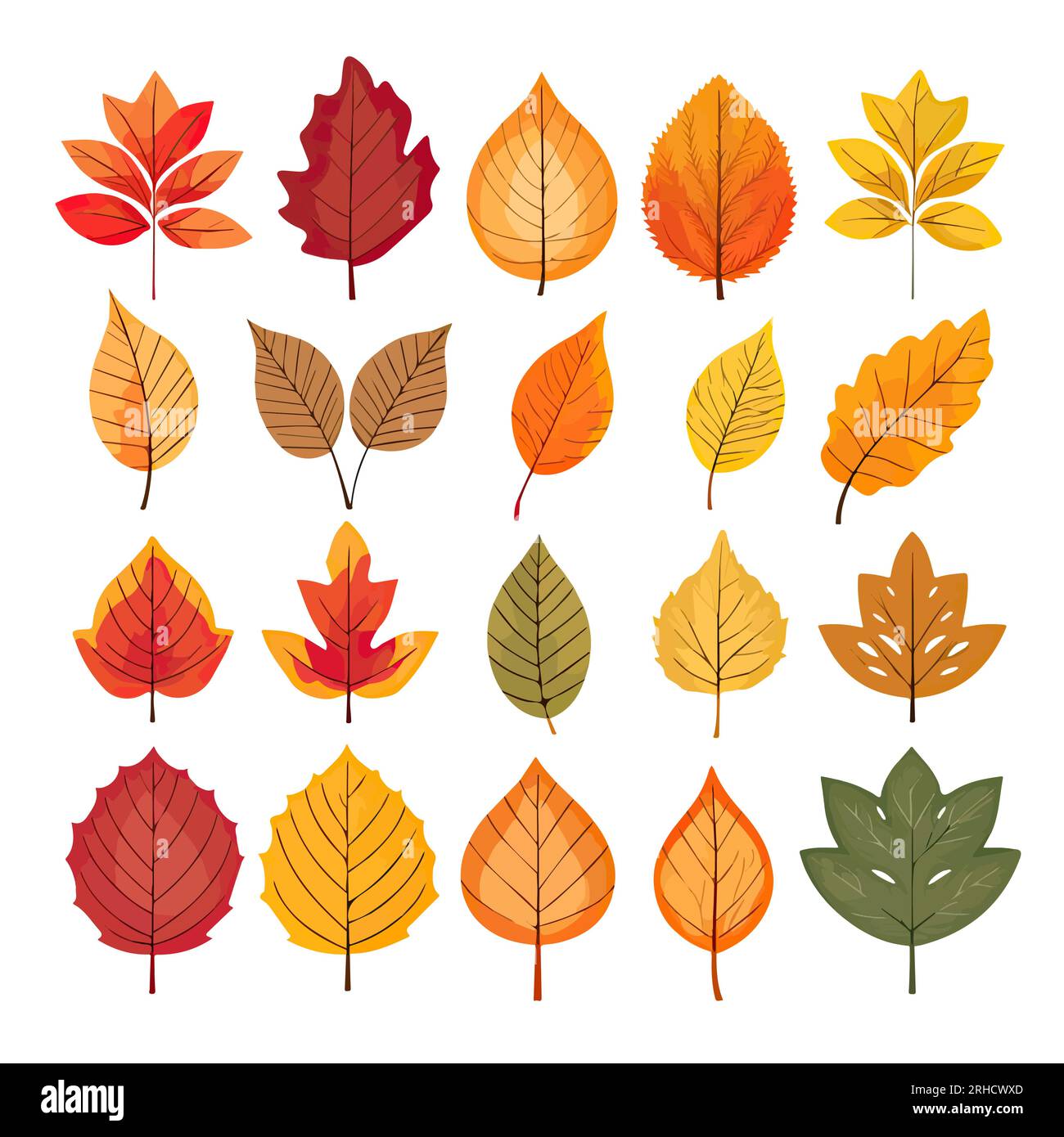 Dry chestnut leaves autumn Stock Vector Images - Alamy