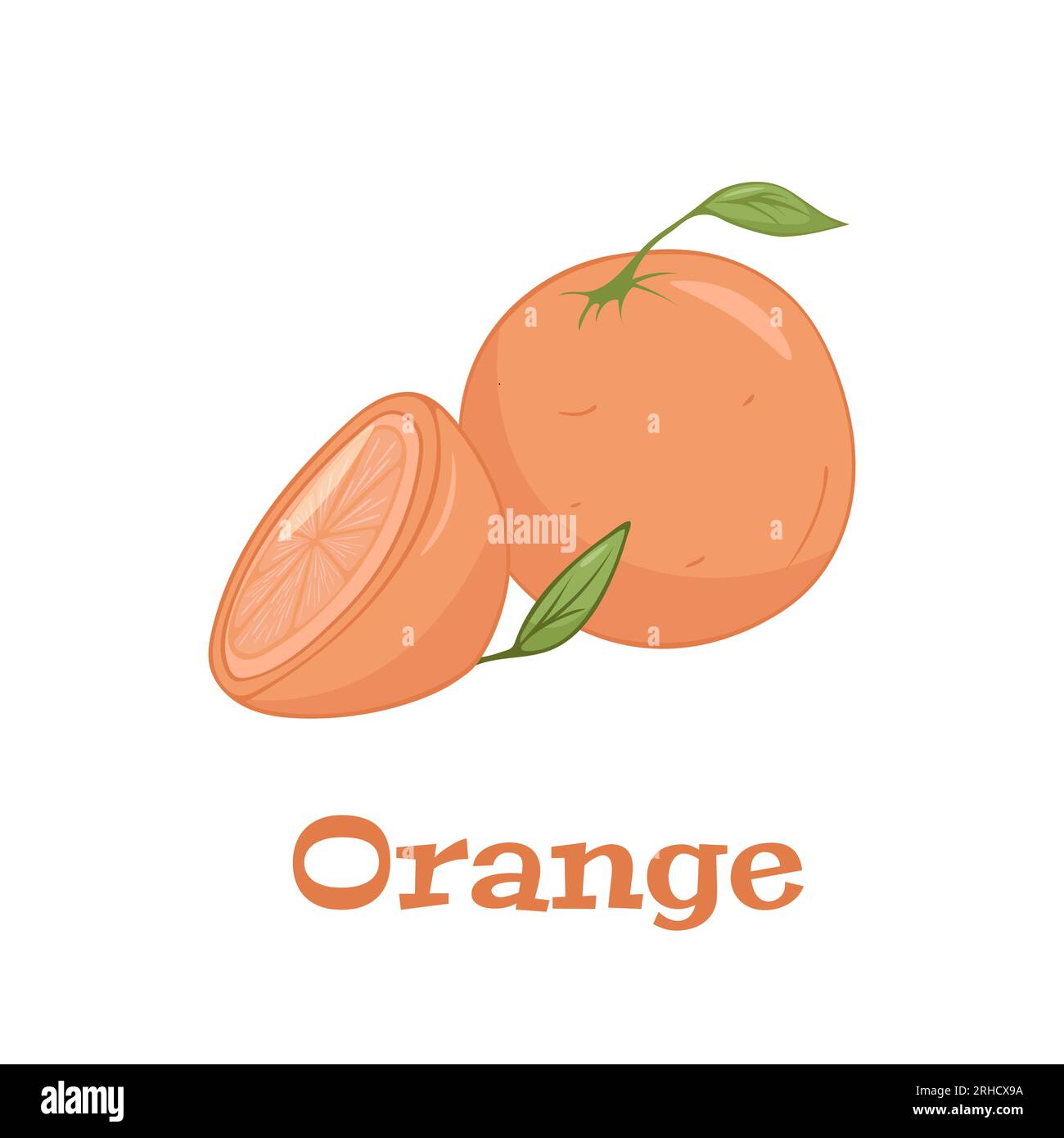 Vector set of colorful slice and whole of juicy orange. Fresh cartoon ...