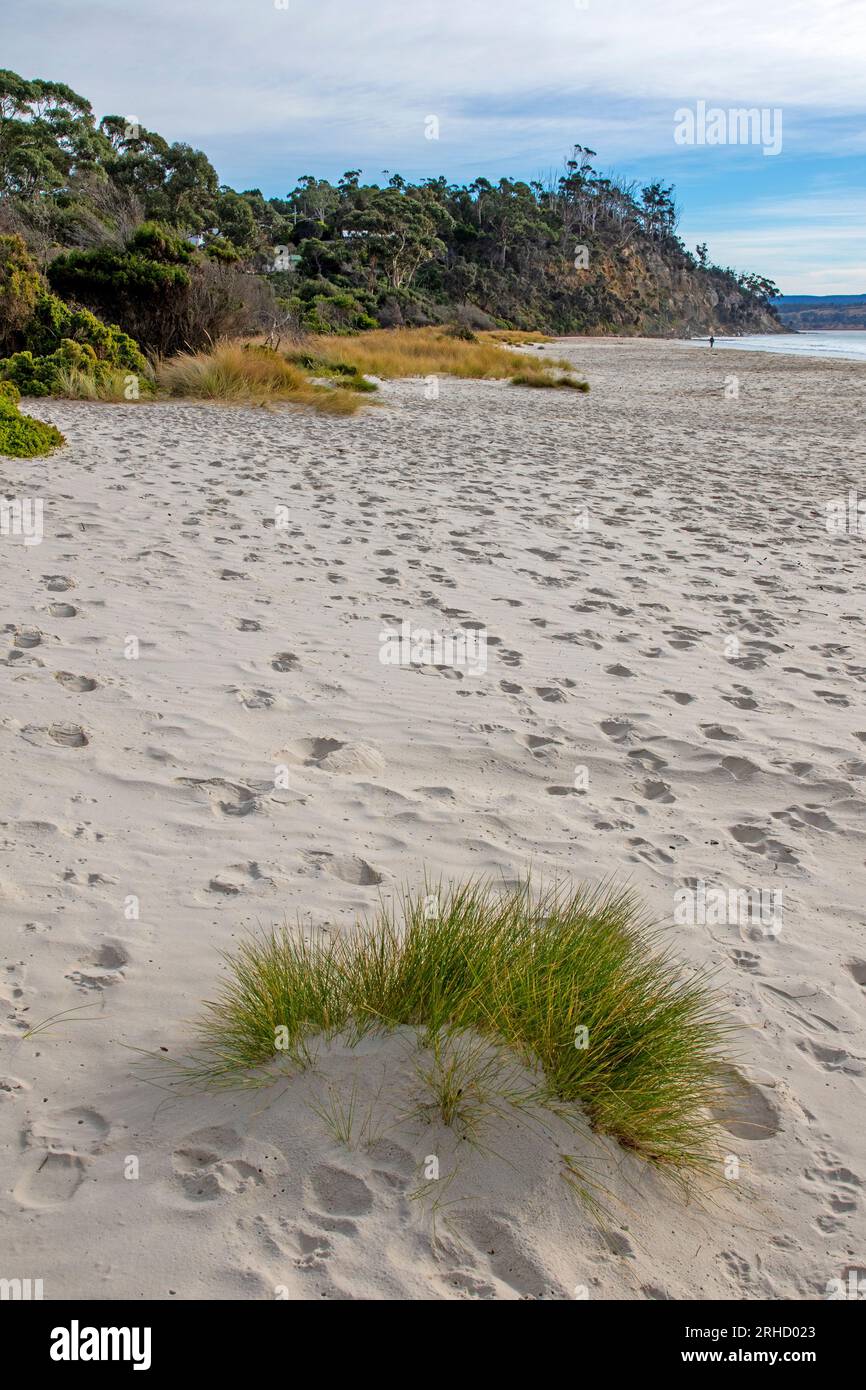 Orford tasmania hi-res stock photography and images - Alamy
