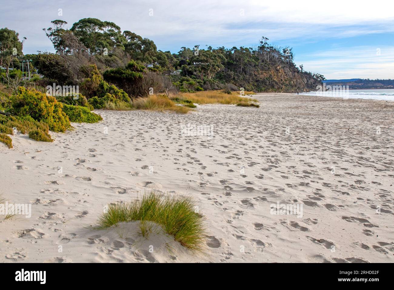 Spring Beach, Tasmania Stock Photo - Alamy