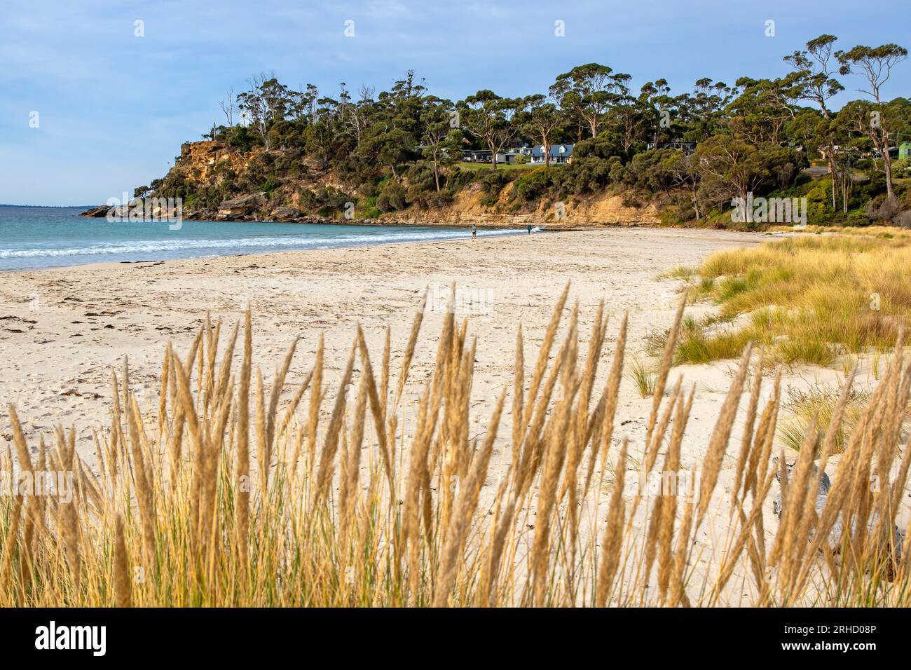 Spring Beach, Tasmania Stock Photo - Alamy