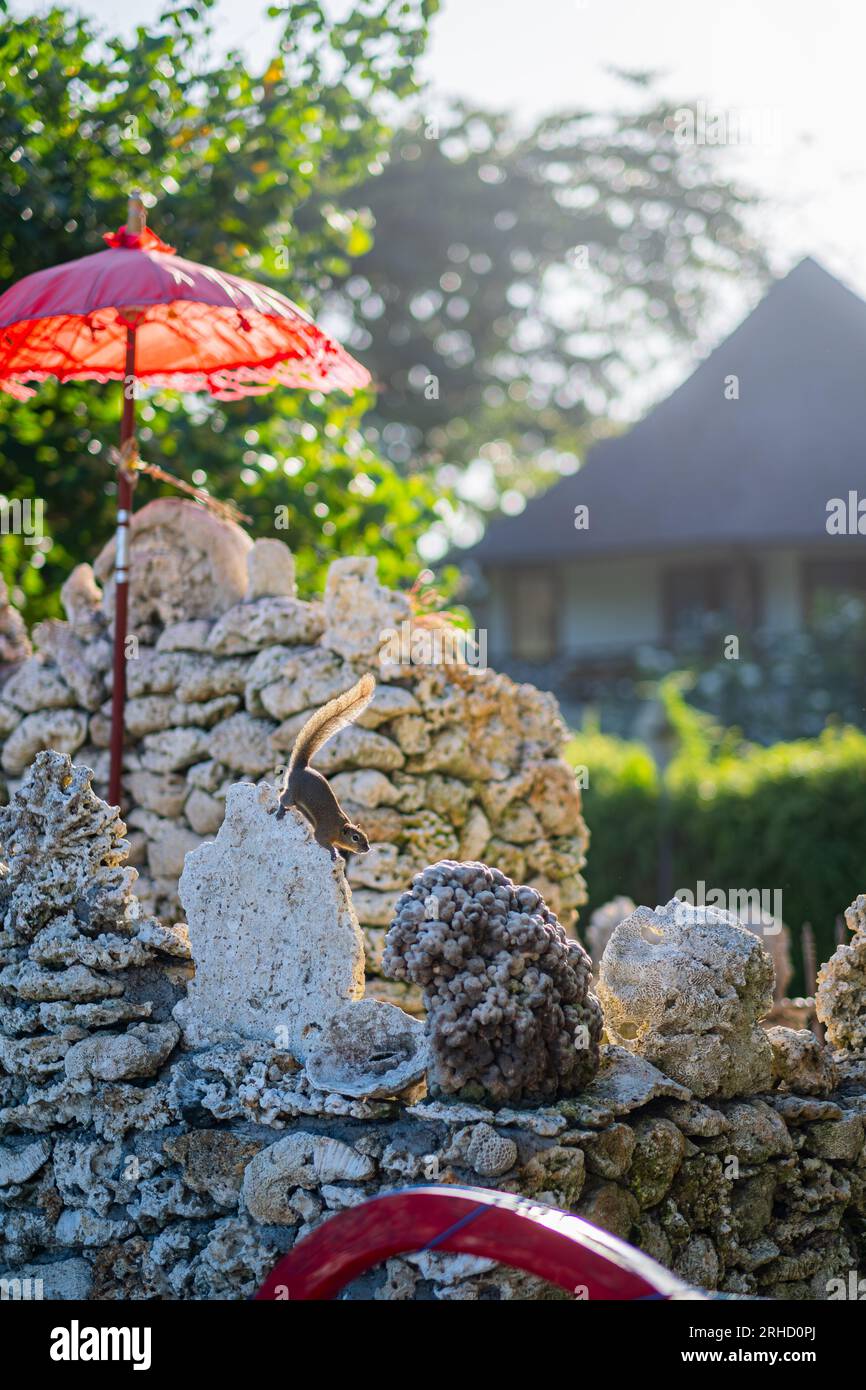 Balinese prayer hi-res stock photography and images - Alamy