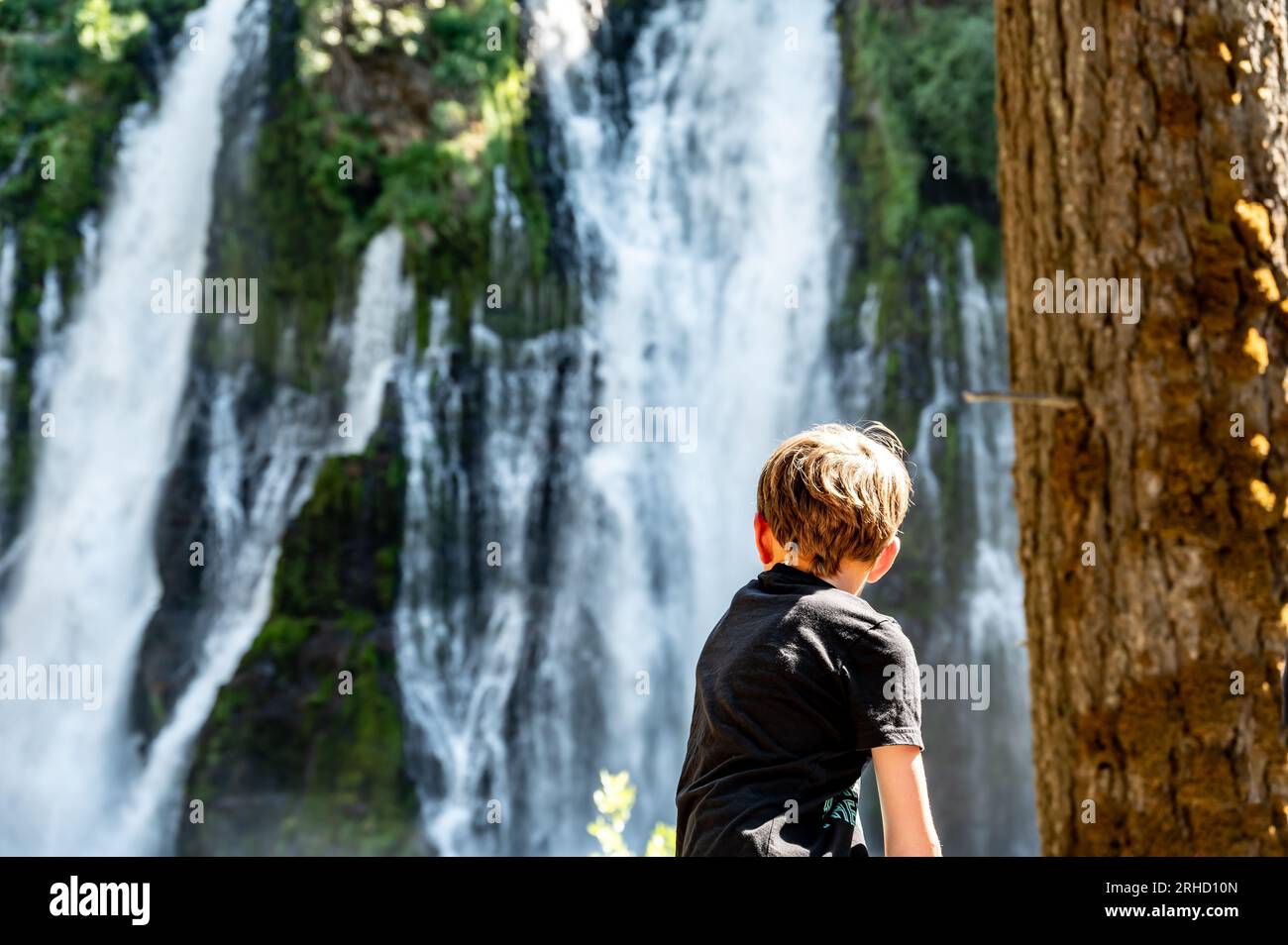 Boy looking out at McArthur-Burney Falls Memorial State Park cascading ...