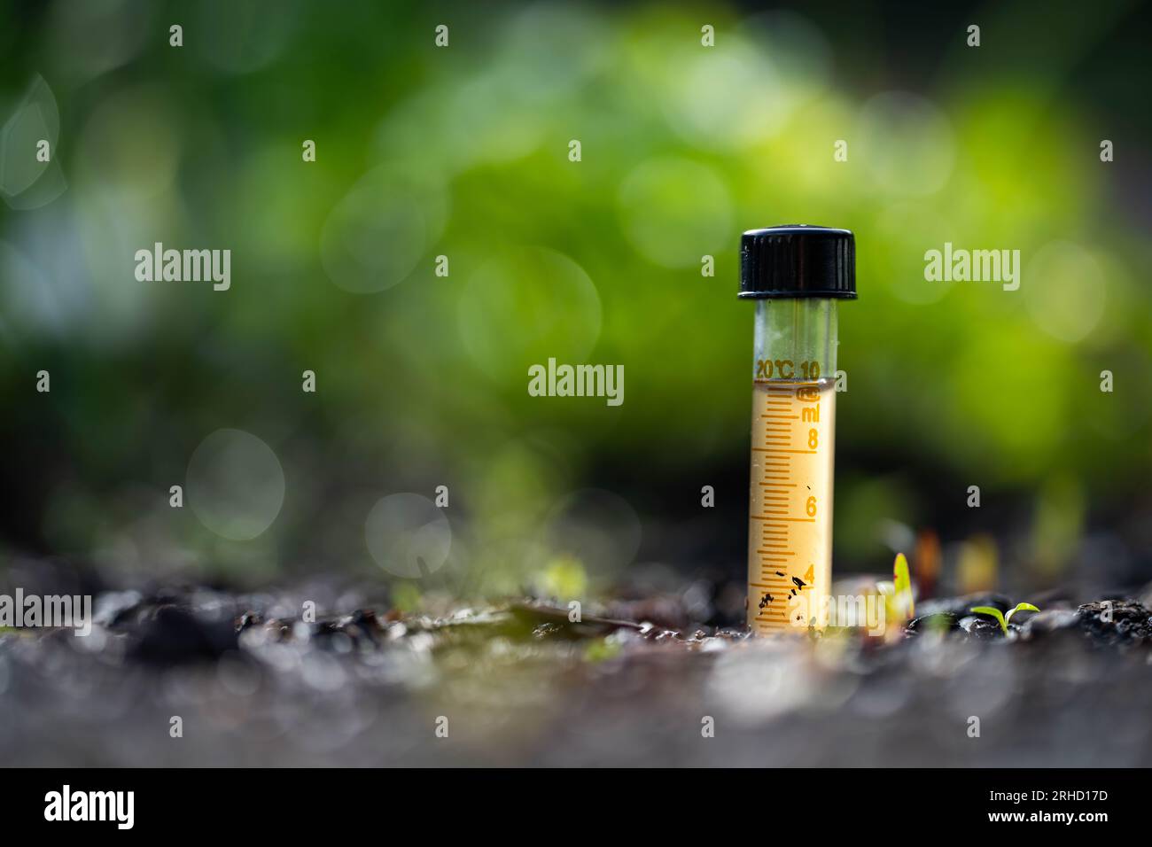 soil testing with a test tube in the soil close up the plants in the ...