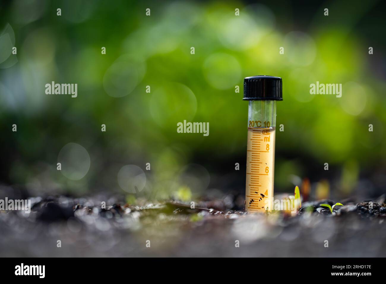 soil testing with a test tube in the soil close up the plants in the ...