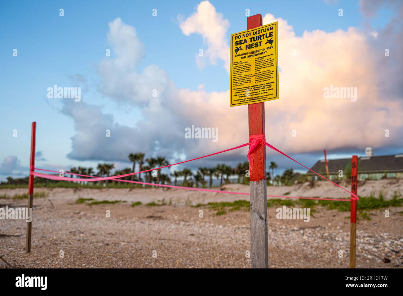 Turtle conservation florida hi-res stock photography and images - Alamy