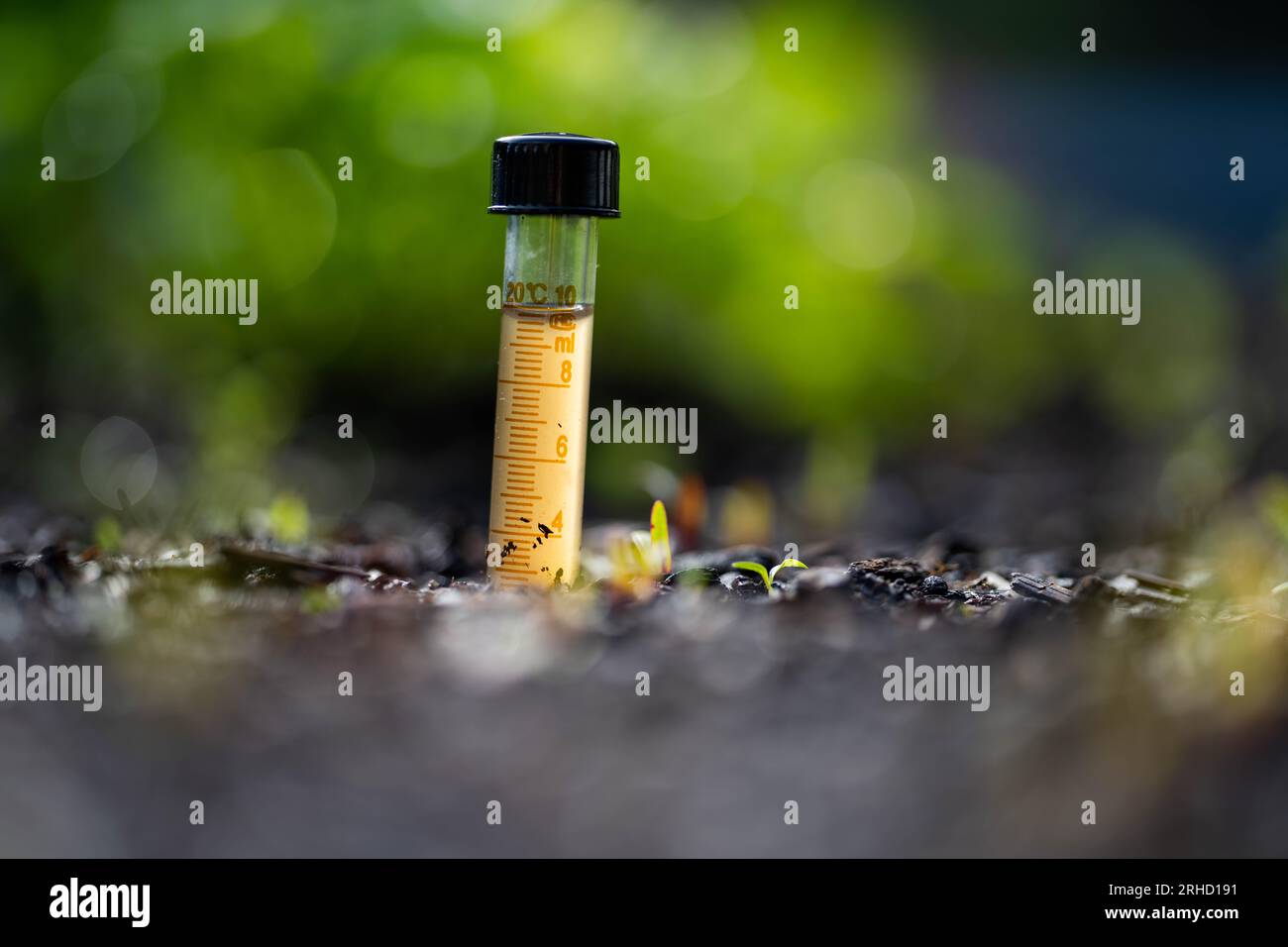 soil testing with a test tube in the soil close up the plants in the ...