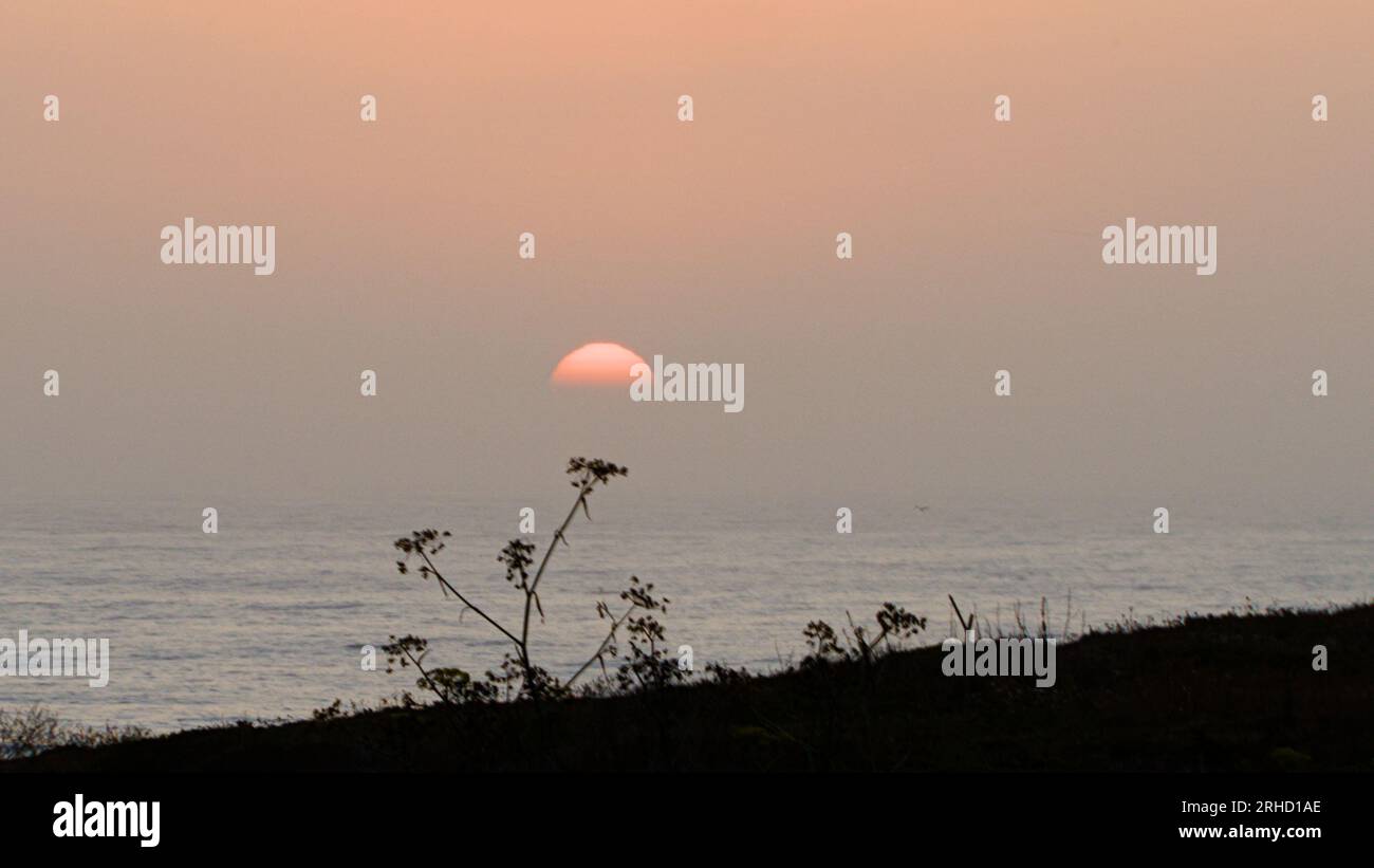 Sunset view along coastal trail in Half Moon Bay Stock Photo - Alamy