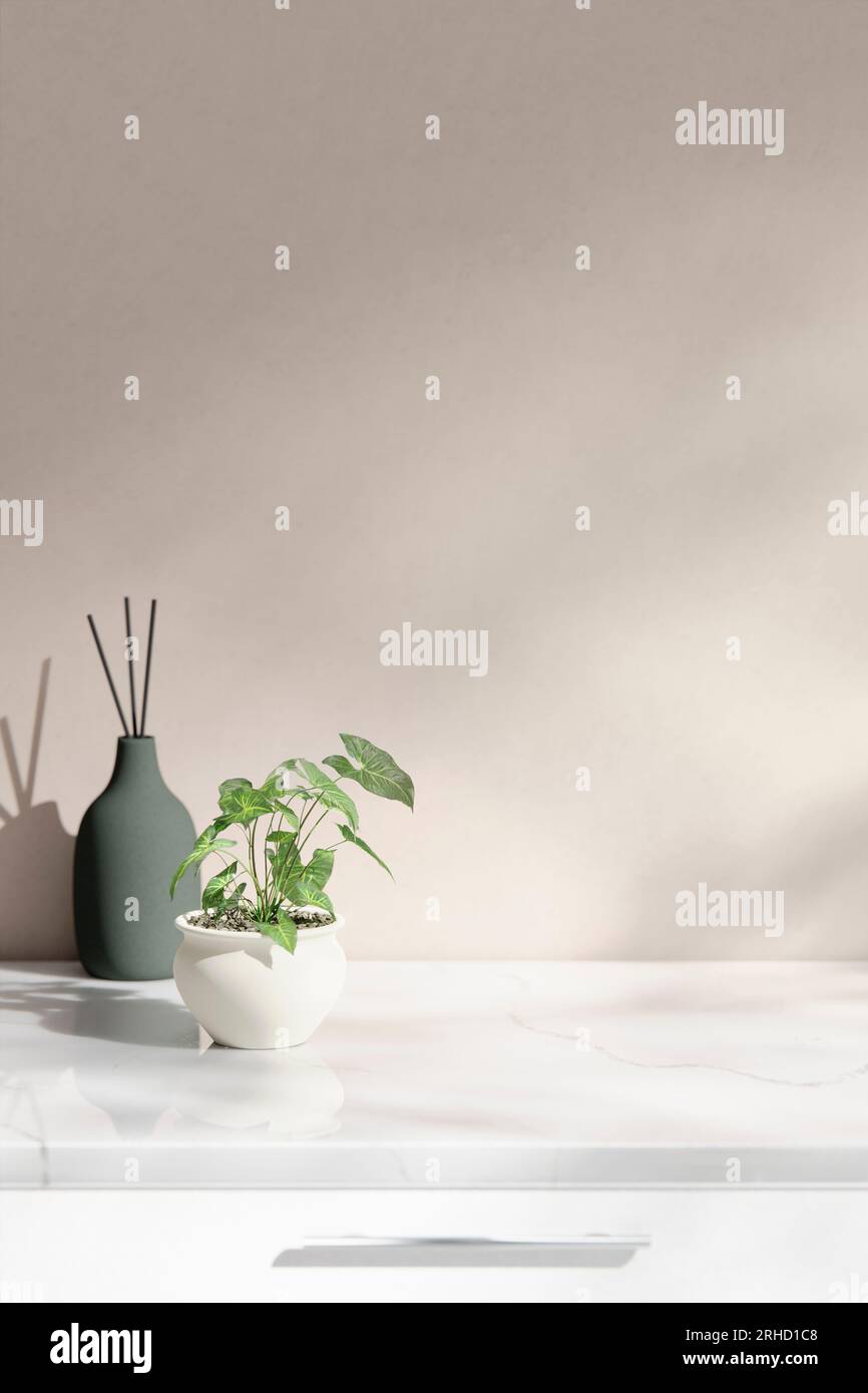 Simple monotone background with vases, tree shadows and natural light ...