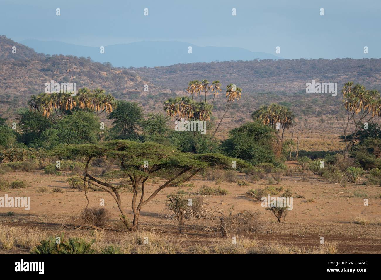 Samburu Game Reserve landscape, Kenya, Africa Stock Photo - Alamy