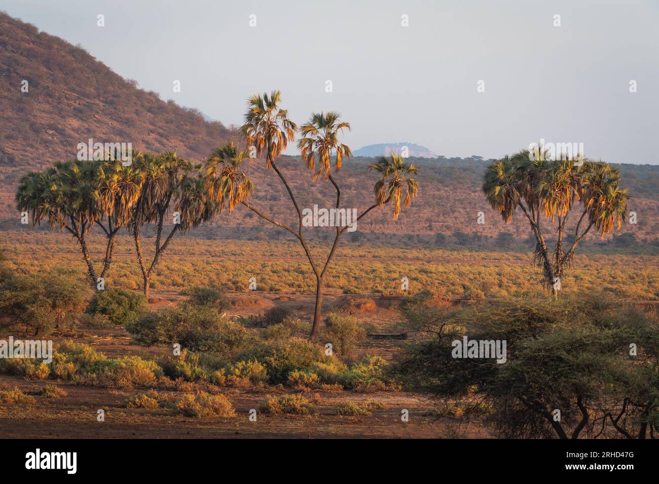 Samburu Game Reserve landscape, Kenya, Africa Stock Photo - Alamy