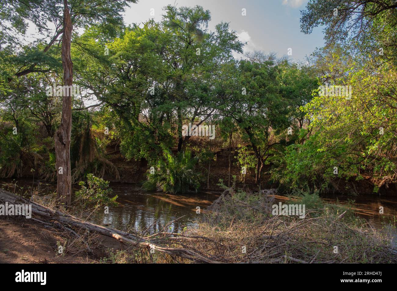 Meru National Park, Kenya, Africa Stock Photo - Alamy