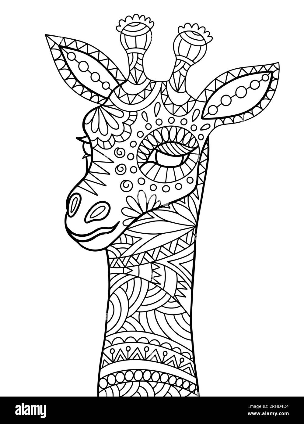 Giraffe sketch hi-res stock photography and images - Alamy
