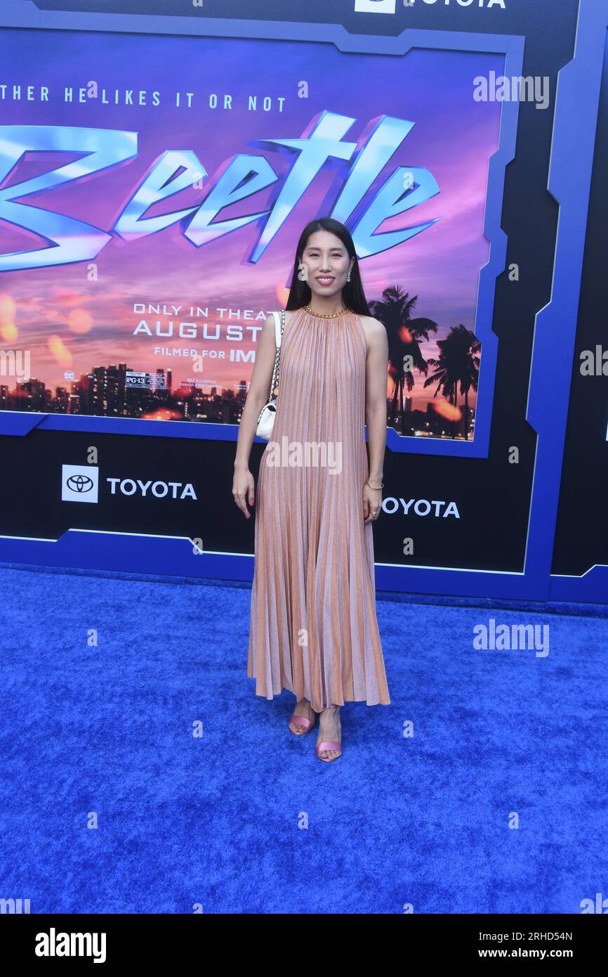 Los Angeles, California, USA 15th August 2023 Chris Han attends Warner ...